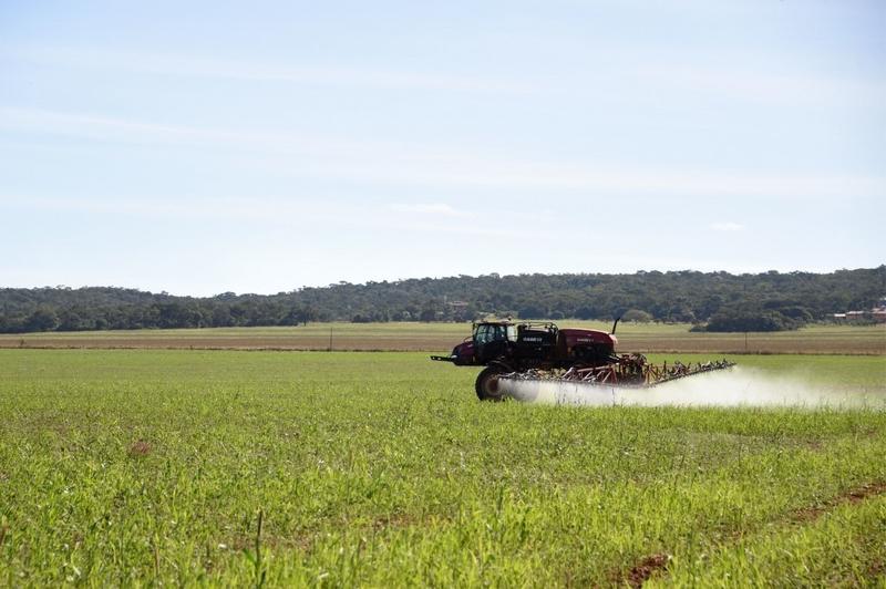 UN hopeful for Russian fertilizer exports breakthrough