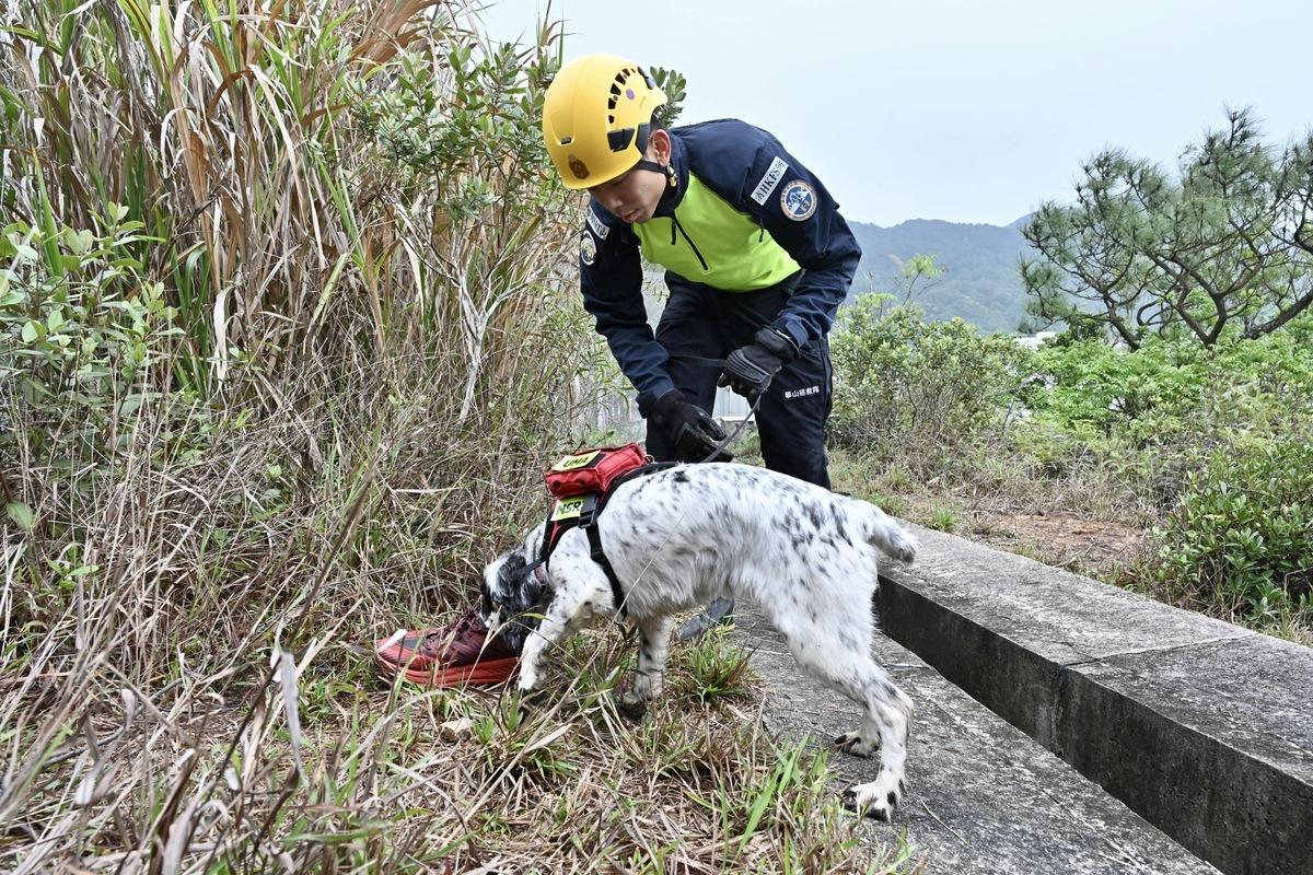 Lending a rescue paw