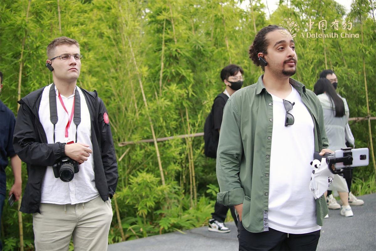 Meeting giant pandas