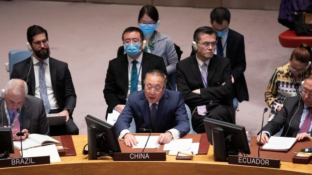 China staying committed to peaceful development, says envoy