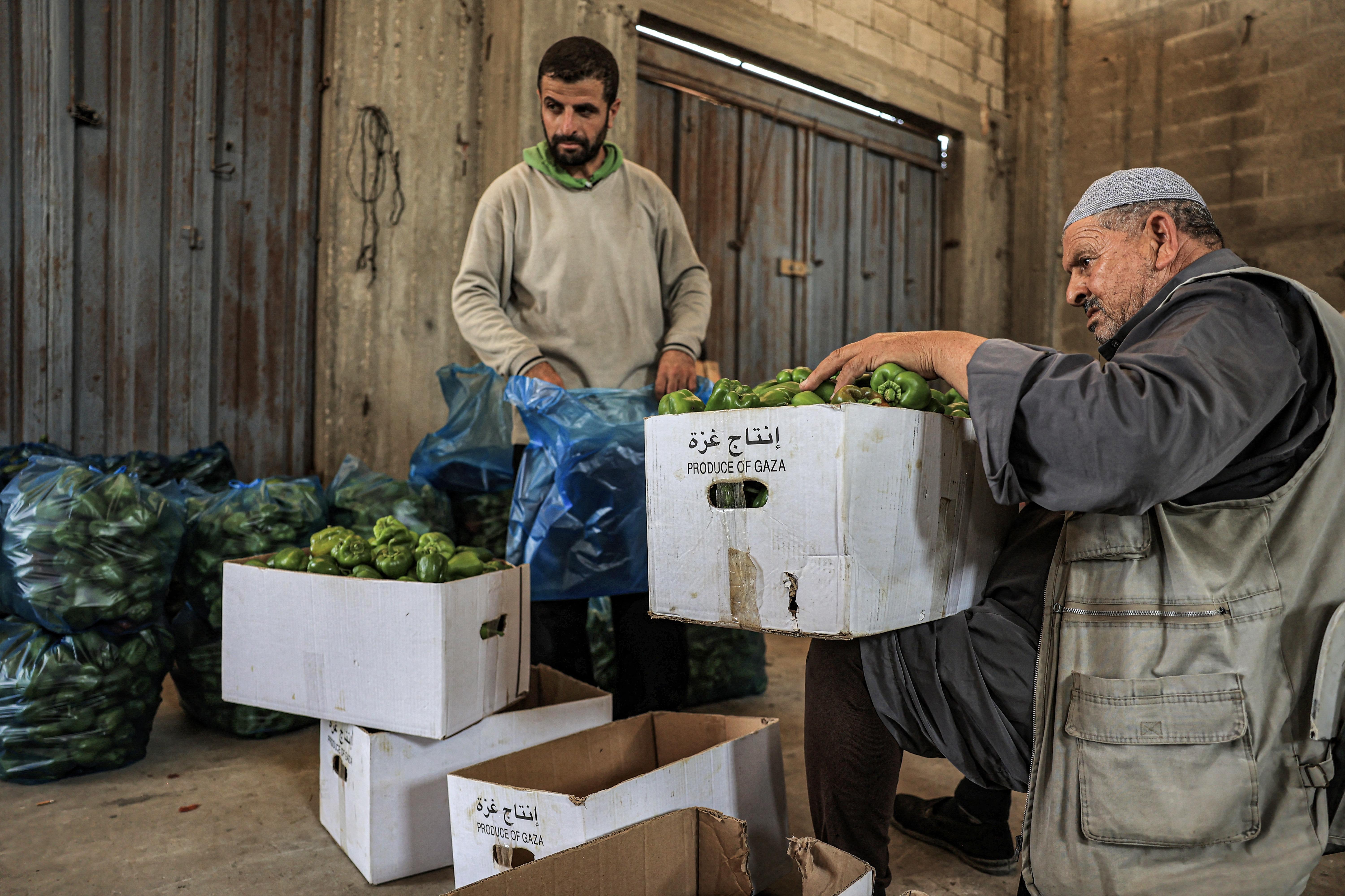 Israeli ban on Gaza exports deals blow to long-suffering economy