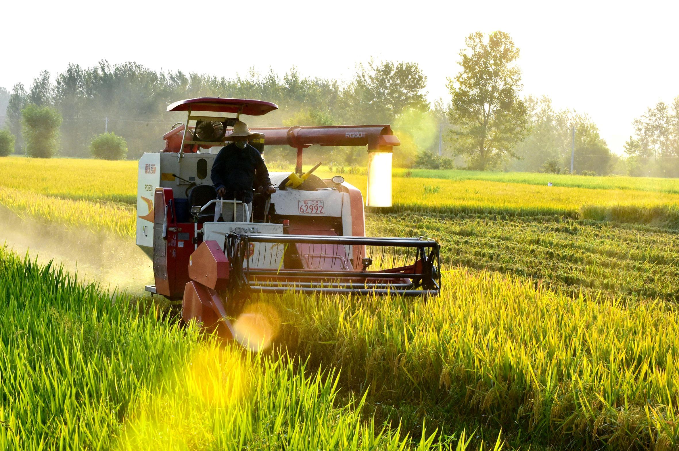 Reaping the rewards of a bountiful season