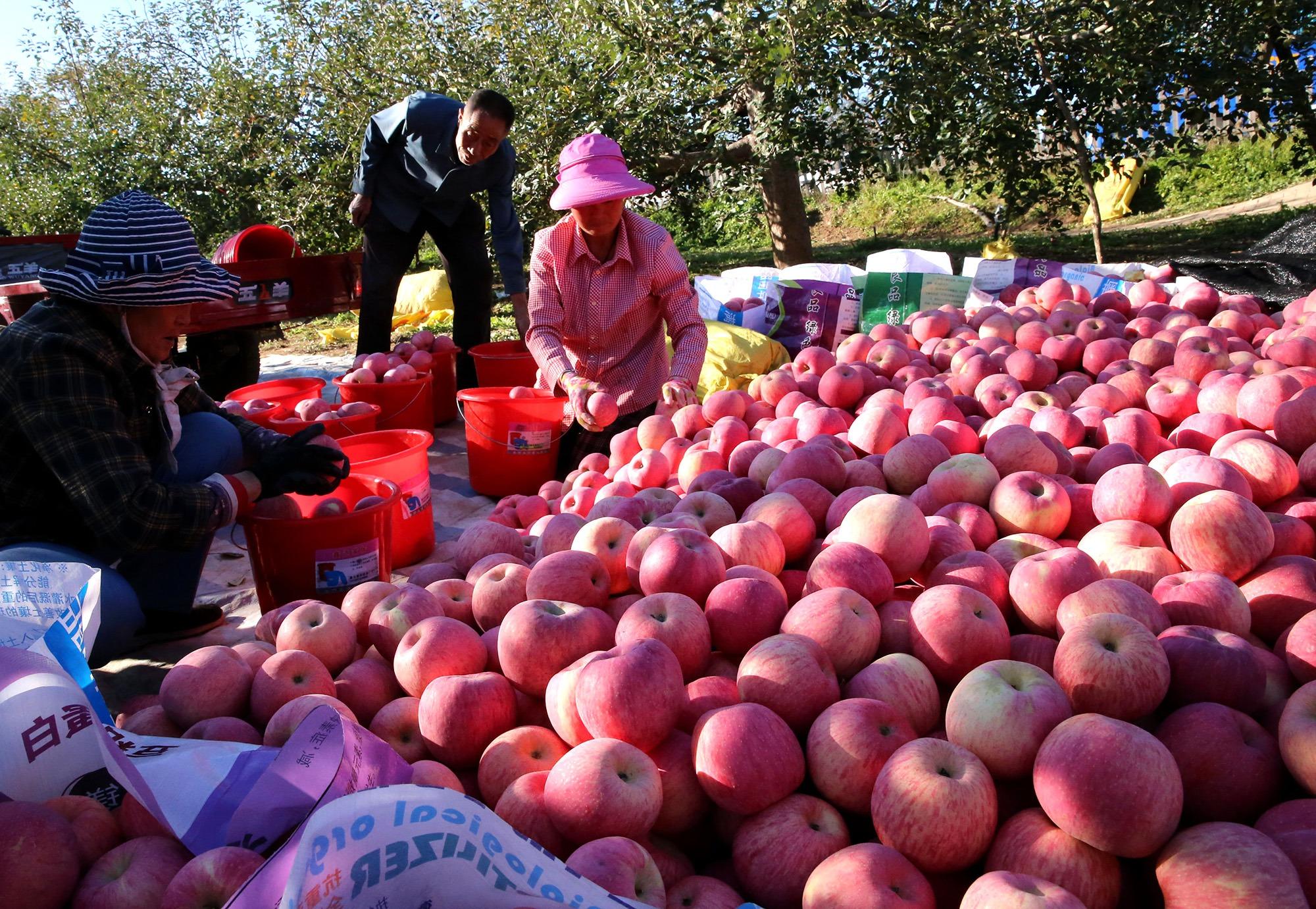 Special product buys turn hot among young consumers