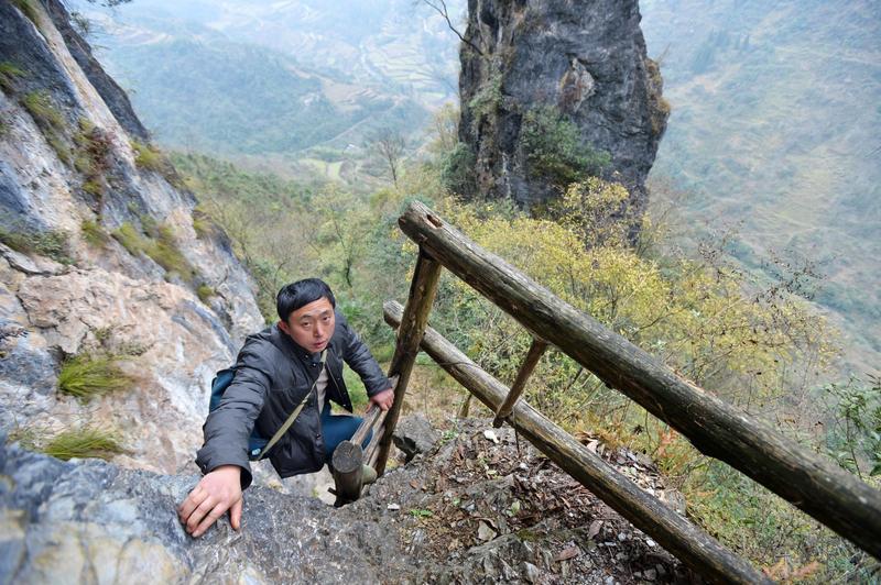 The postman who always delivers