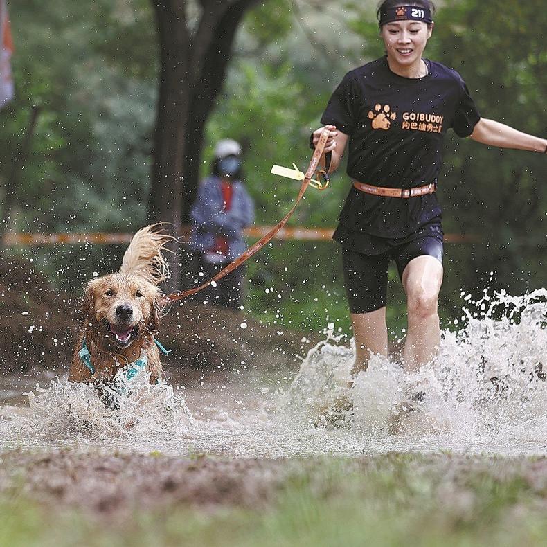 Exotic pets may be fascinating, but they are also risky