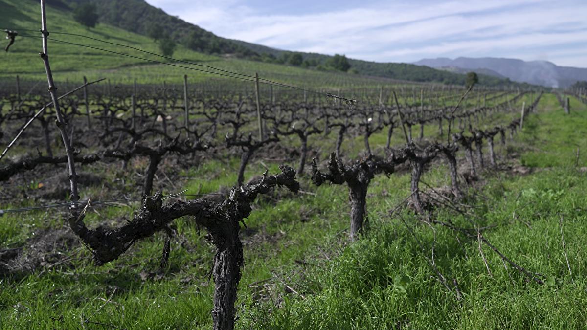 ASEAN countries to advance cooperation on climate change