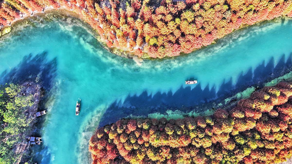 Advisers diligent in shaping environmental policy