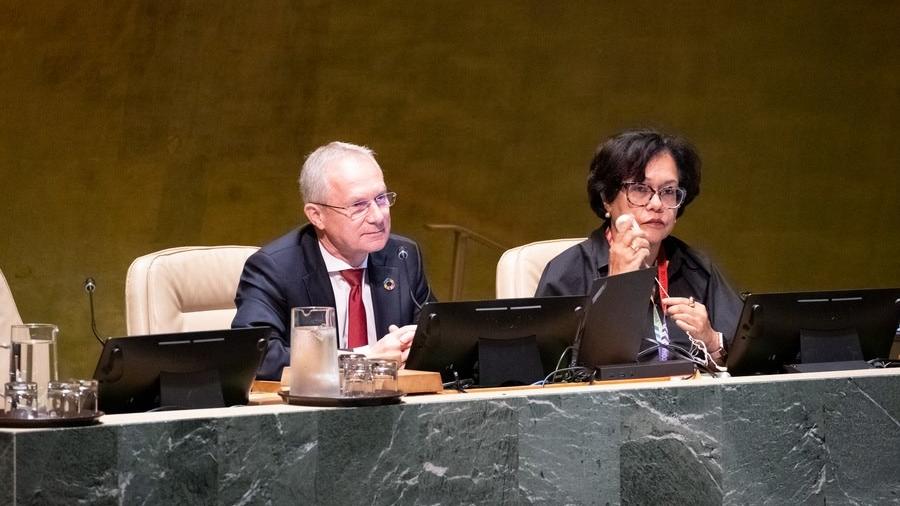 Five countries elected new non-permanent members of UNSC