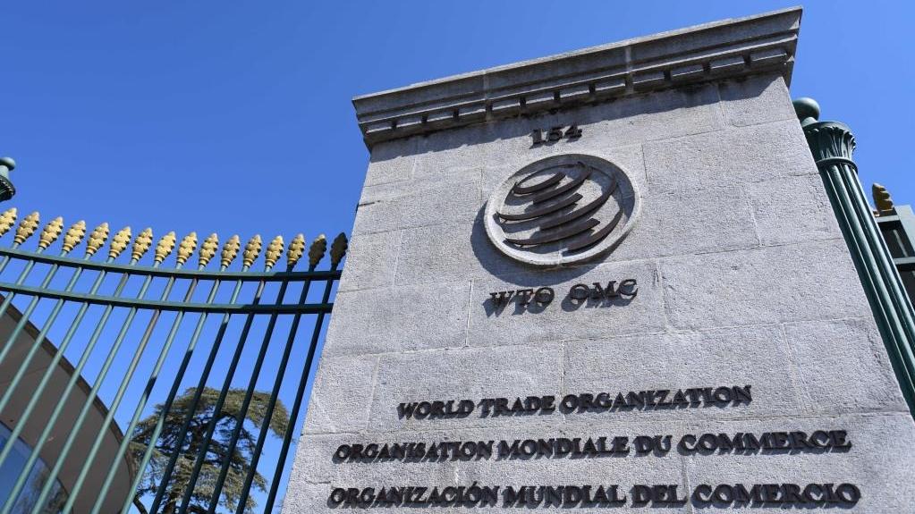 China 'plays key role' in WTO digital trade talks
