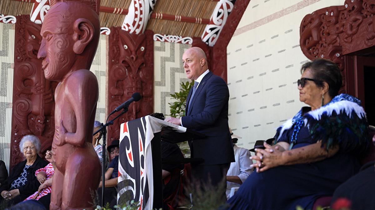 NZ to shut indigenous health authority amid Maori protests