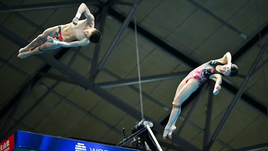 Golden harvest: China wins three diving golds at swimming worlds
