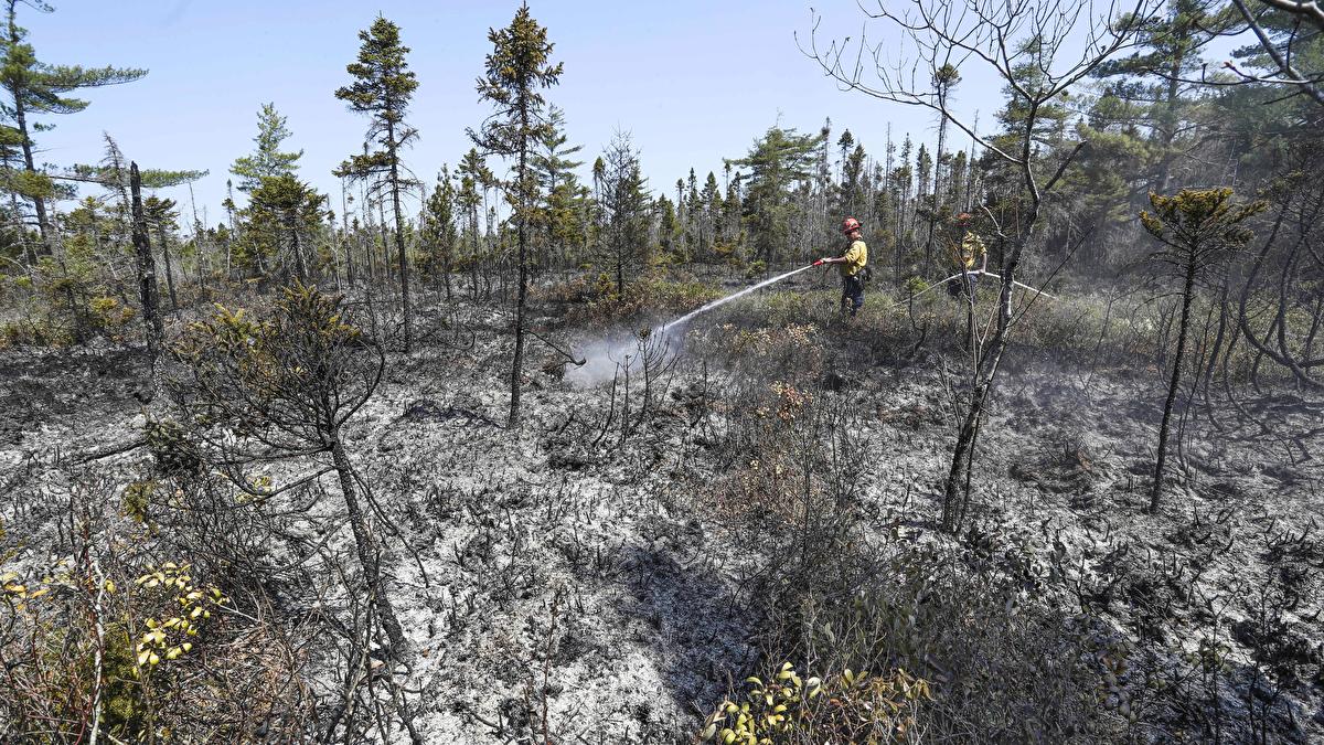 Canada wildfires spread to new areas, thousands more evacuated