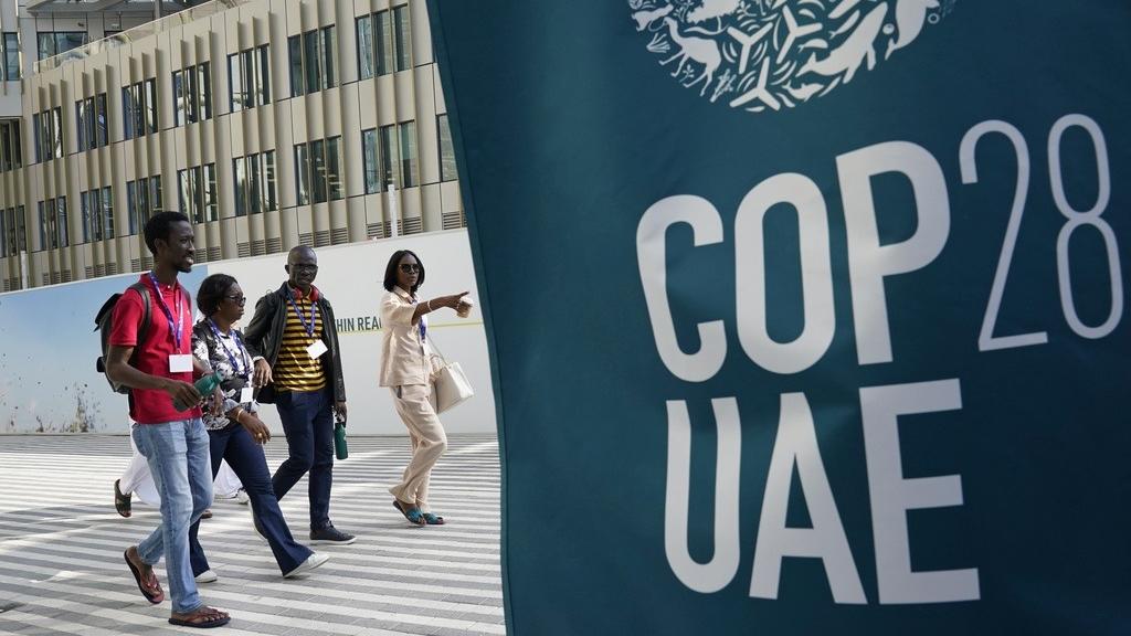 COP28: Expo City Farm seen as visionary response to climate change