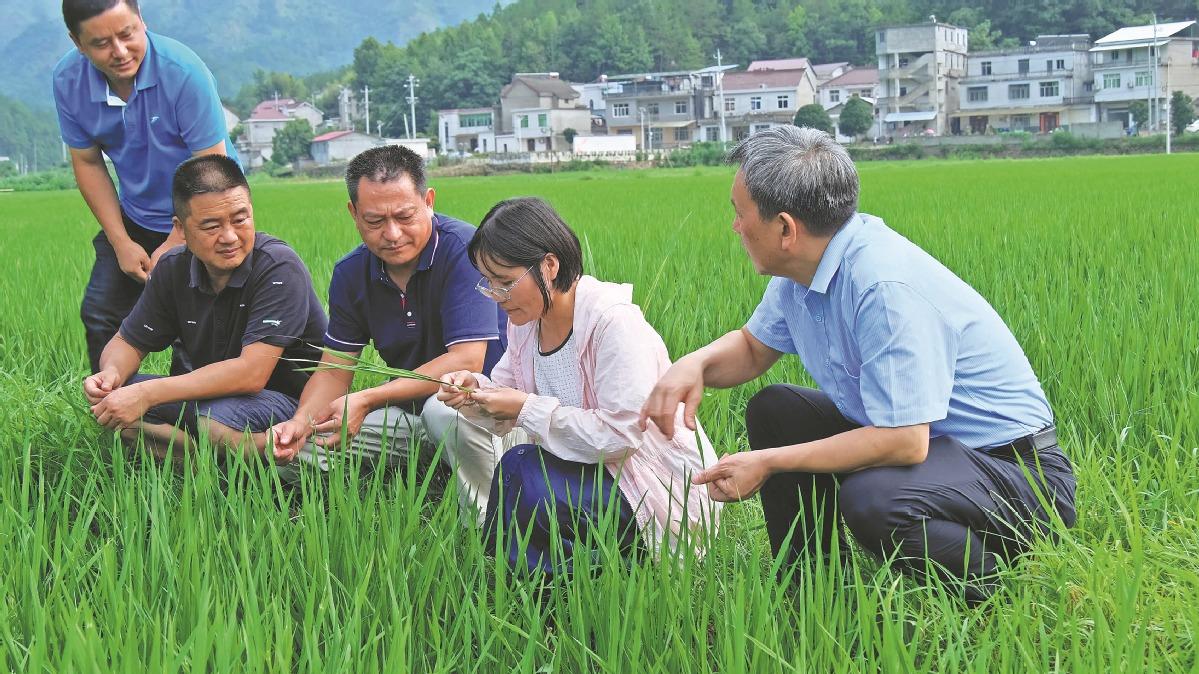 Boosting rural prosperity with sci-tech