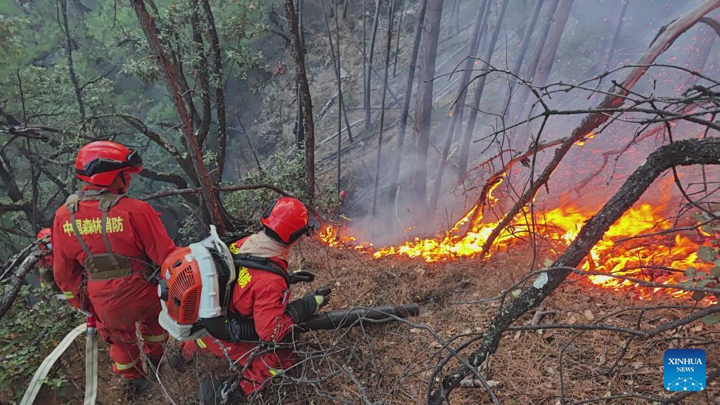 Rescuers battling forest fire in China's Sichuan