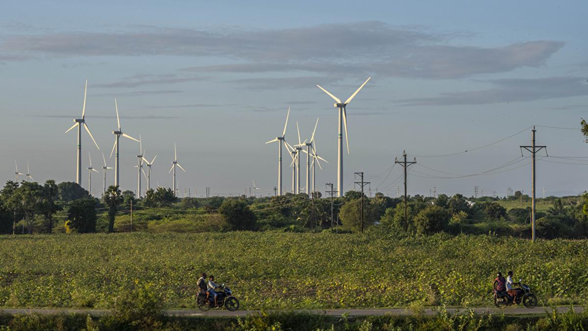 WB: Energy transition offers opportunity for S. Asia growth