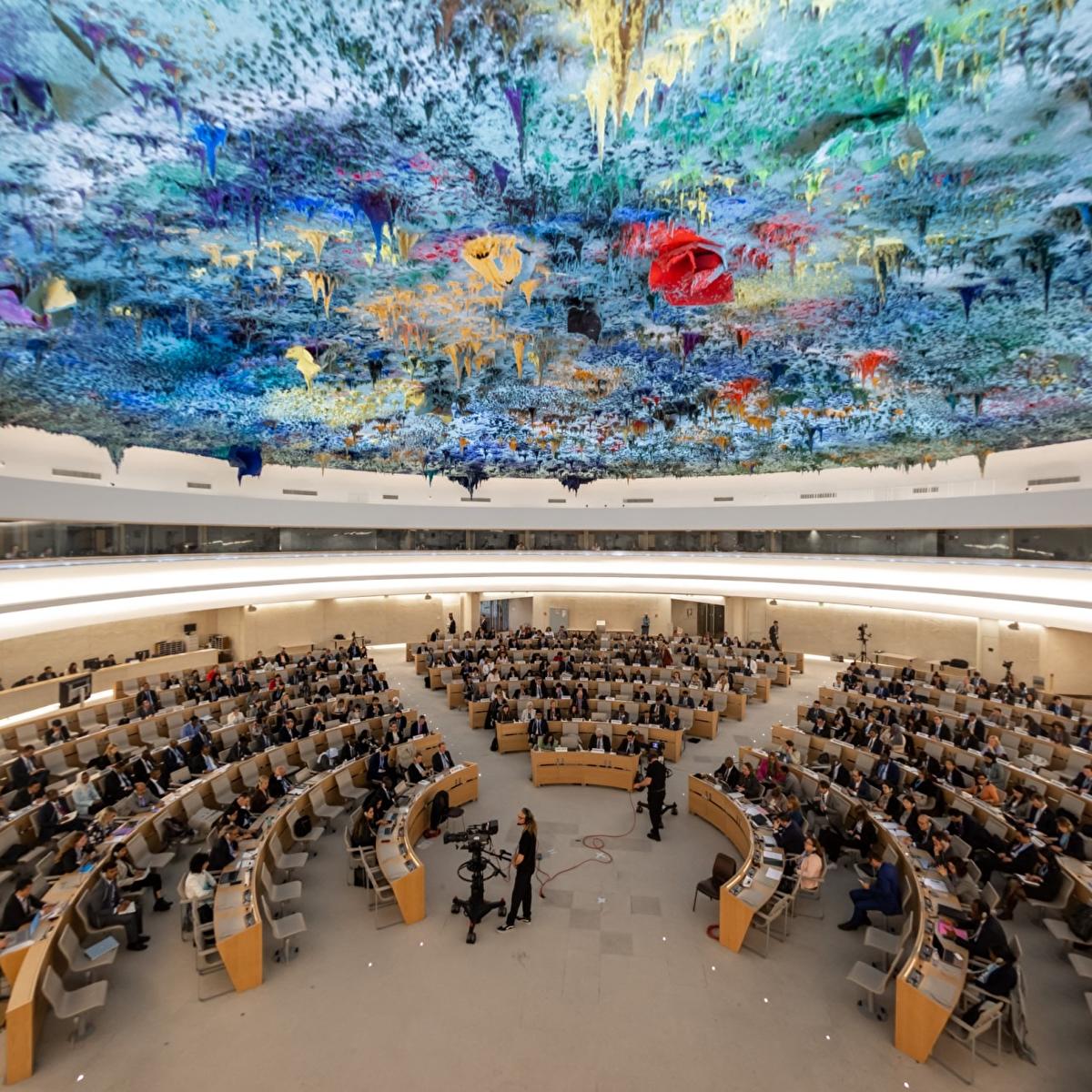 Fair, inclusive human rights governance needed