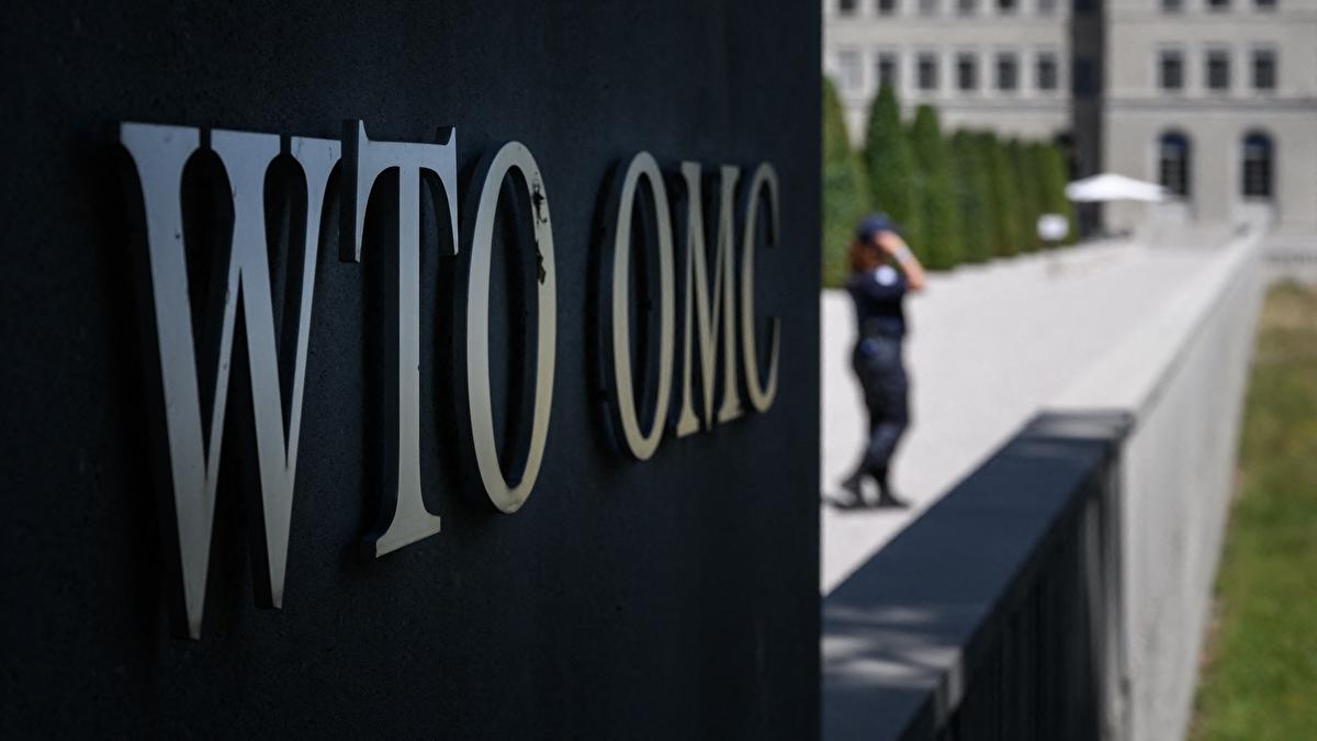 Developing countries call for WTO reforms