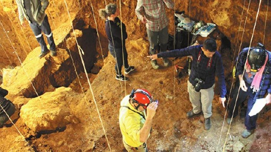 Tracing the steps of early migration from Africa to Australia