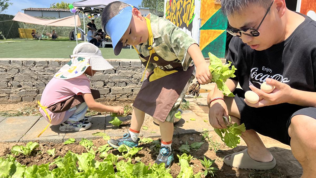 Shared farming takes urbanites back to nature