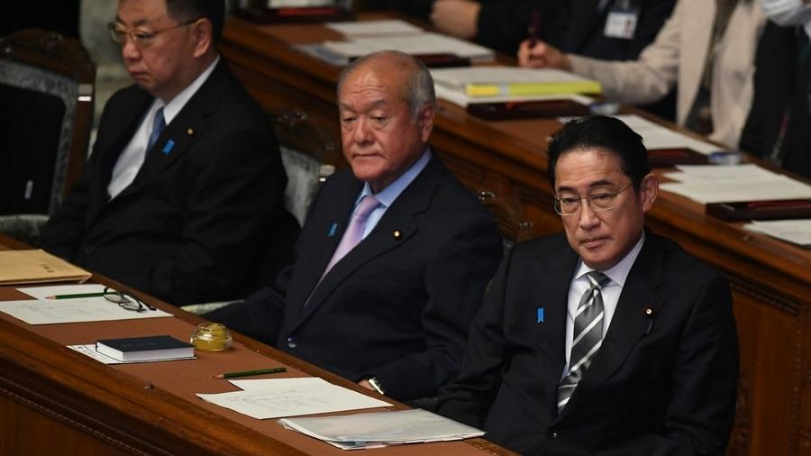 Japan's lower house passes budget in win for PM Kishida