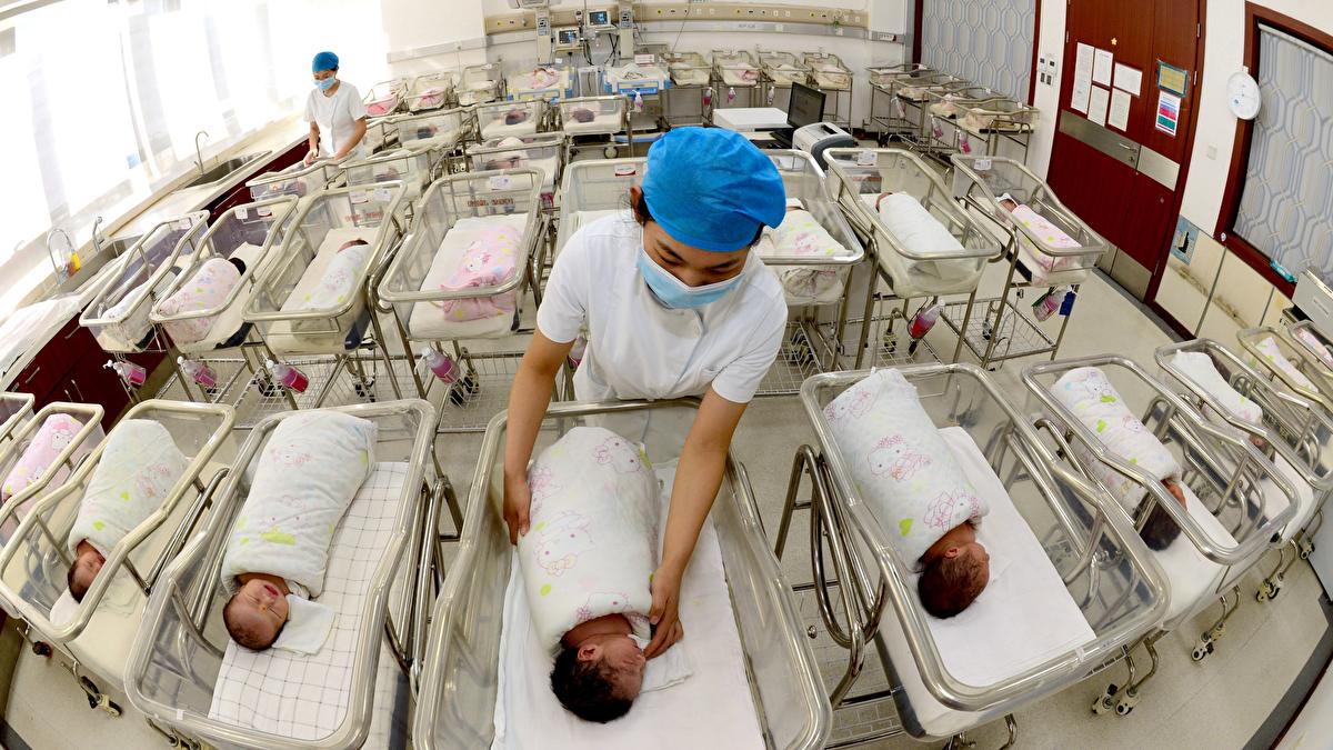 Experts propose ideas for reversing declining births