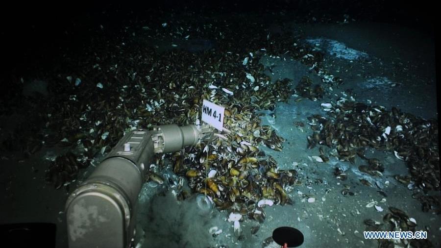 Long-term ocean probe platform deployed in South China Sea