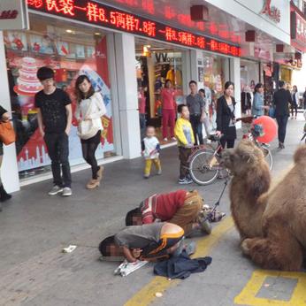 Begging rackets deny help to those who really need it