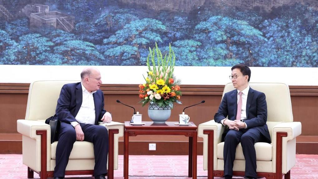 Han: China to focus on institutional opening up