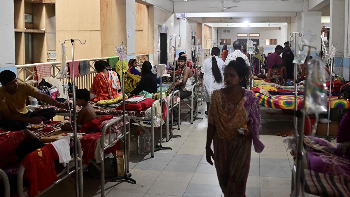 Bangladesh logs 8 more dengue deaths, bringing toll to 1,341
