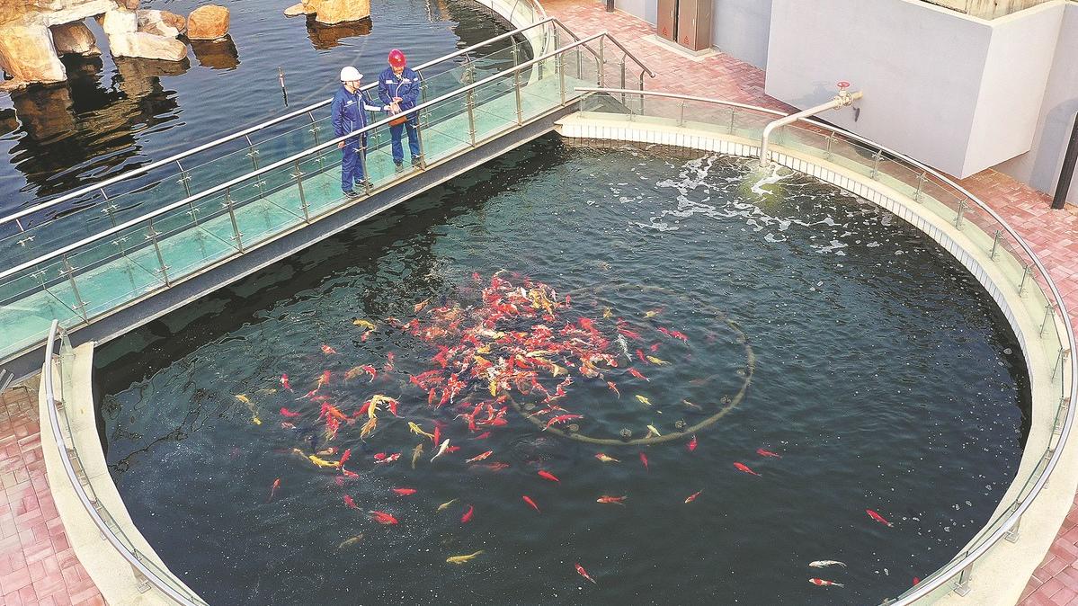 China unveils new regulations on water conservation