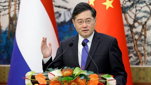 Chinese foreign minister meets with ICAO secretary general