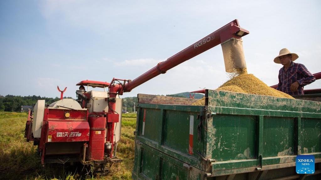 WB approves loan to support sustainable rice production in Hunan