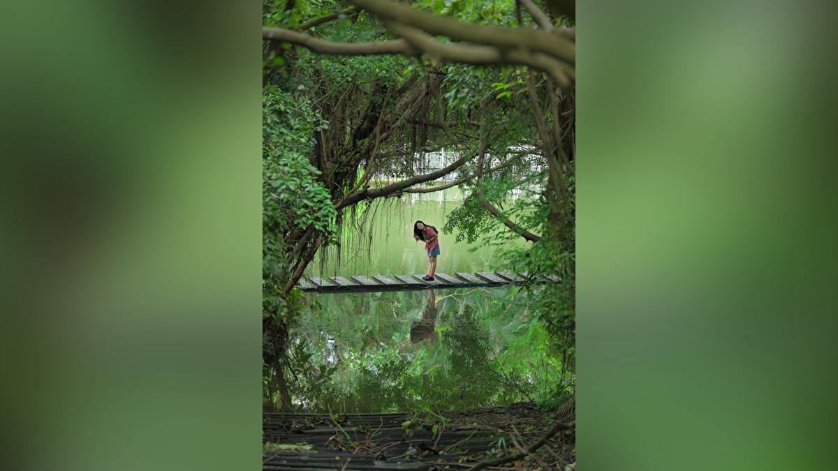 As simple as a walk in the park