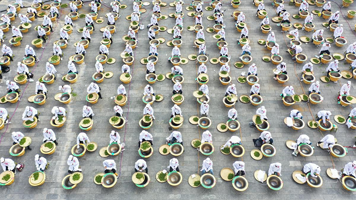 Govt supports encourage Guizhou tea sellers to improve products, eye ...