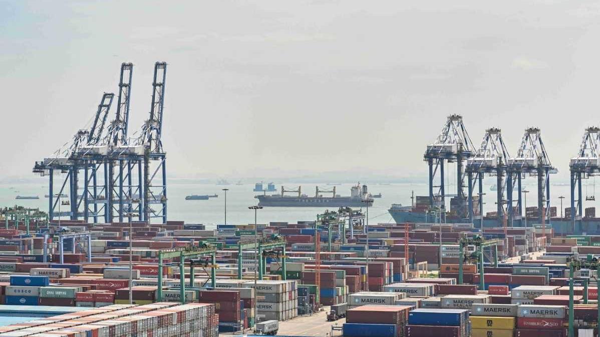 Smart port epitomizes vitality of Greater Bay Area