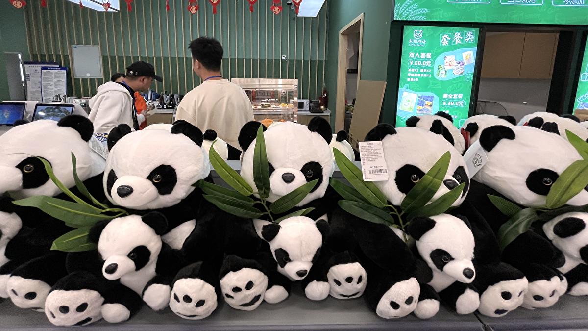 Panda mania boosts economy near breeding base
