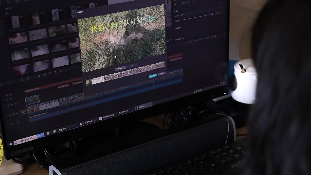 Dogged determination