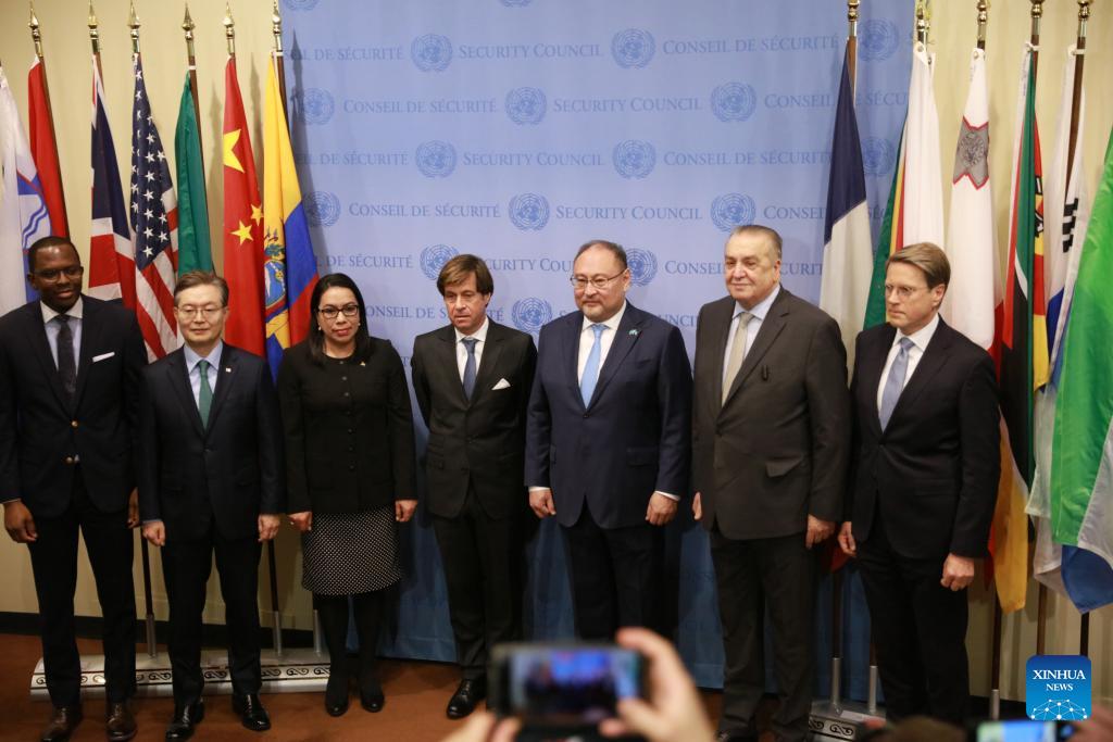 Five countries assume responsibilities as elected members of UNSC