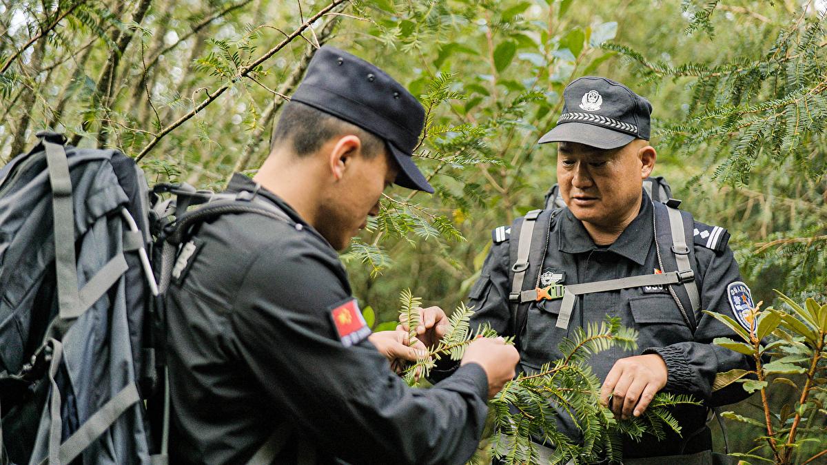 Rural police station extends helping hand to nature