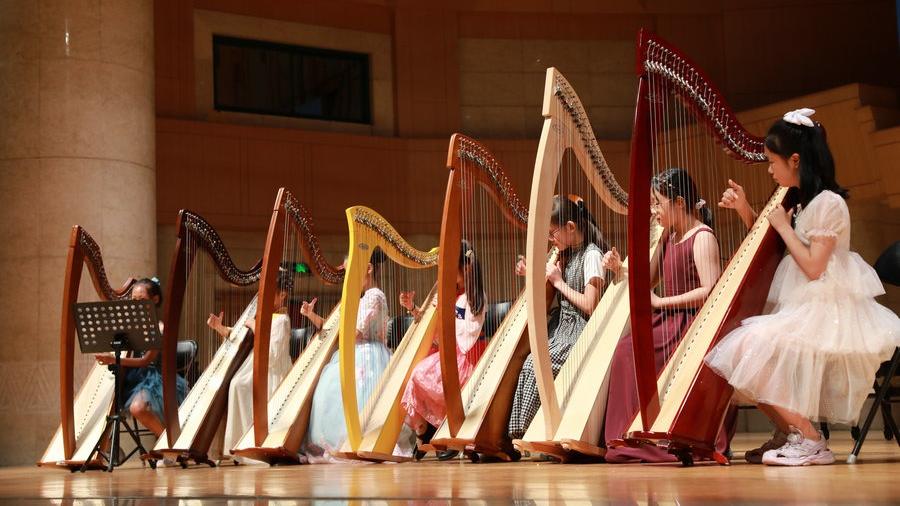 Plucky summer students make harps sing