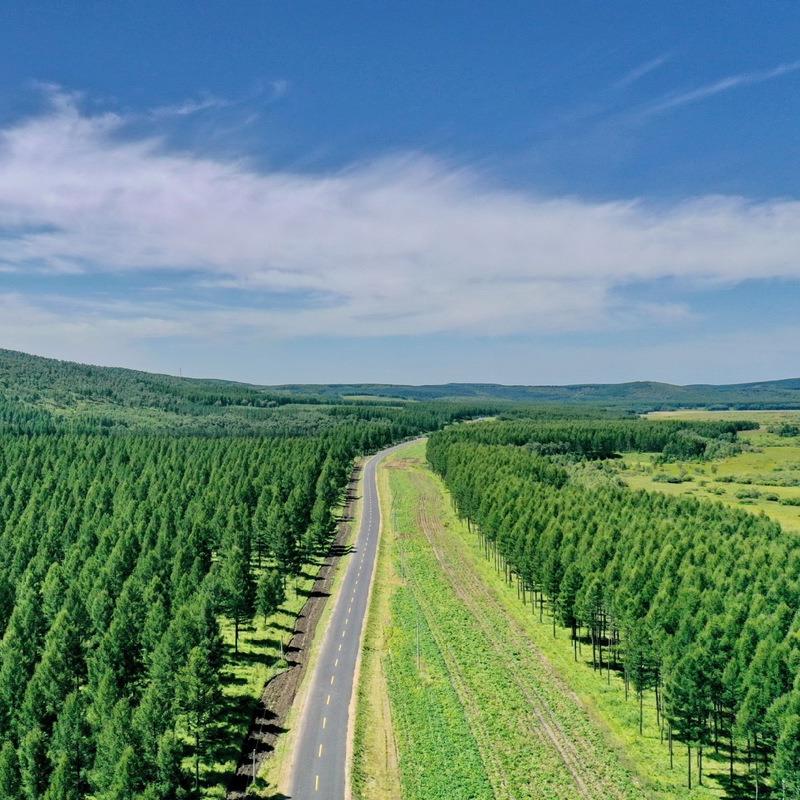 Sanbei project's success essential to further expanding green coverage