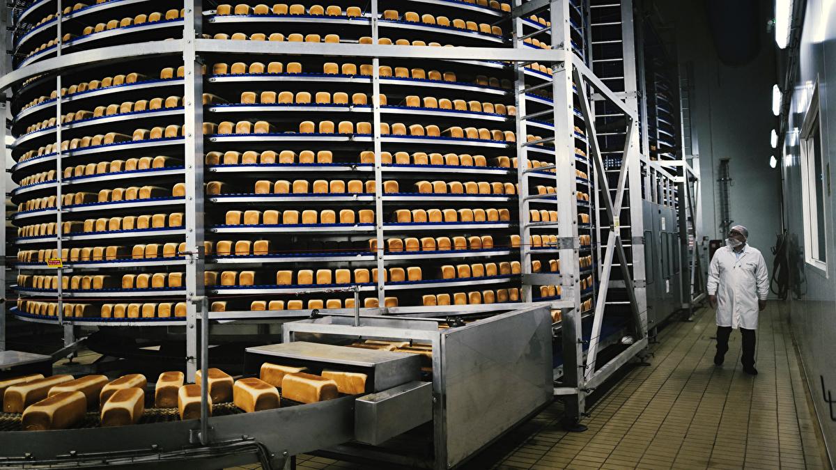 Global factories deliver mixed performance in January