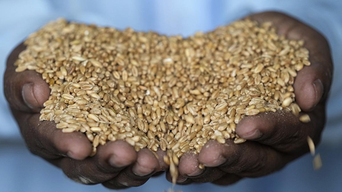 Chinese envoy urges addressing root causes of food insecurity