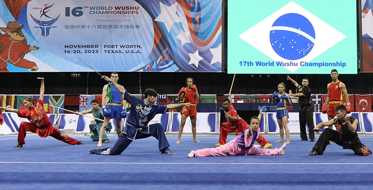 For the love of wushu