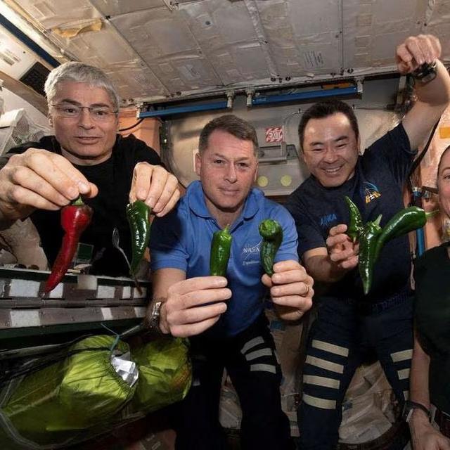 Spicing up astronaut menu with deep space food