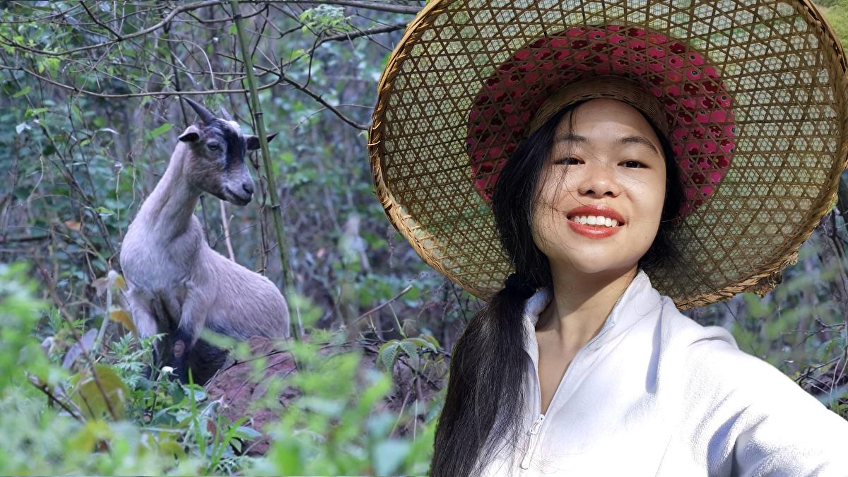 Looking to land an idyll job