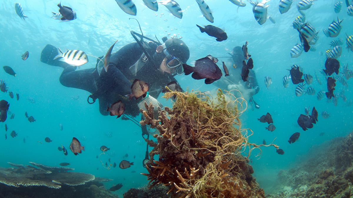 Fragile ecosystem, species at center of protection efforts