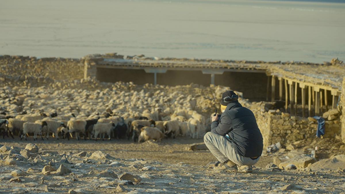 A view of the high life