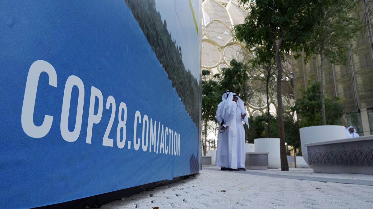 Green finance capacity-building platform launched at COP28